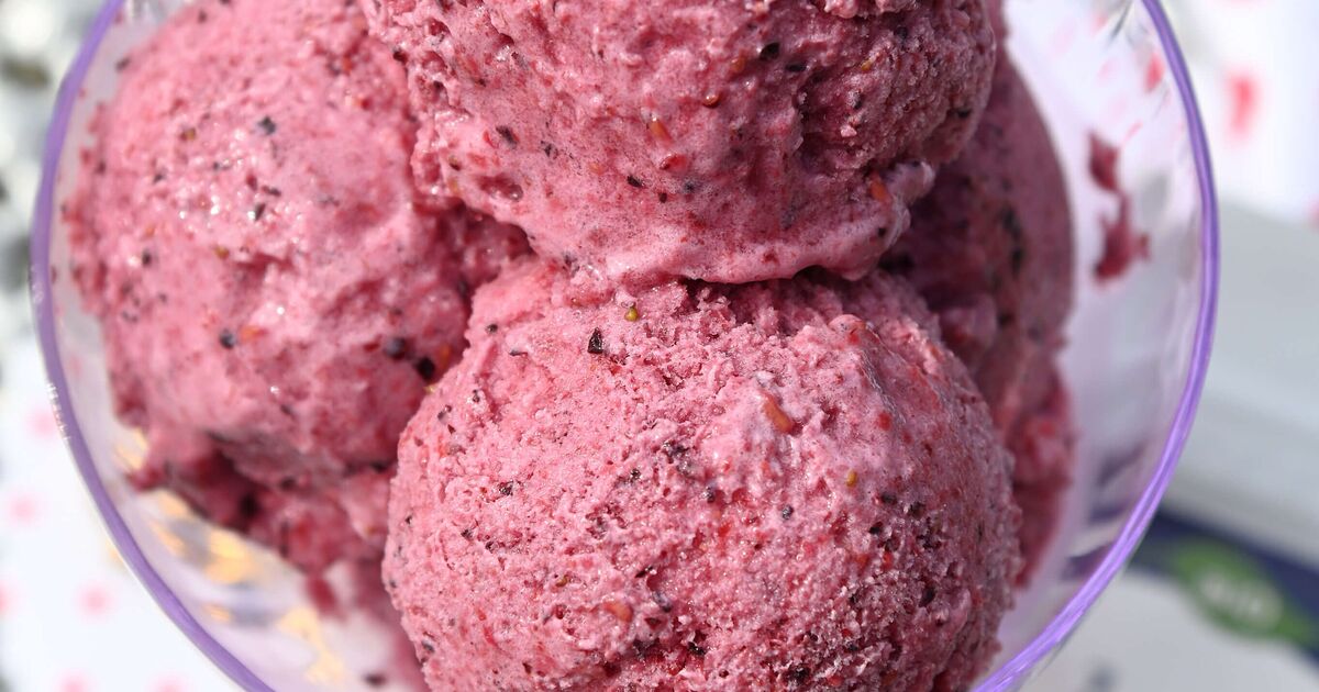 Naminiai ledai su juodųjų uogų asorti